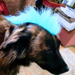 Dog Mohawk Size Large - Etsy