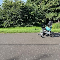 Bundlebean Adult Wheelchair Poncho - YELLOW ZEBRA - Etsy UK