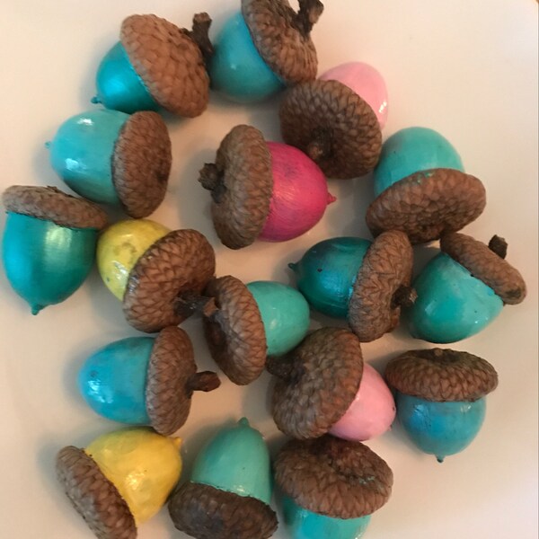 JUMBO Acorns Extra Large Acorns Natural Acorns Real Acorns Christmas ...