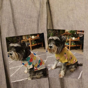 Daisy Chiffon Crop Top XS-2XL Dog-shirts Dog Top Dog - Etsy