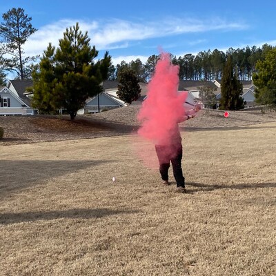 Gender Reveal 100g Packets Pink/blue Color Powder - Etsy