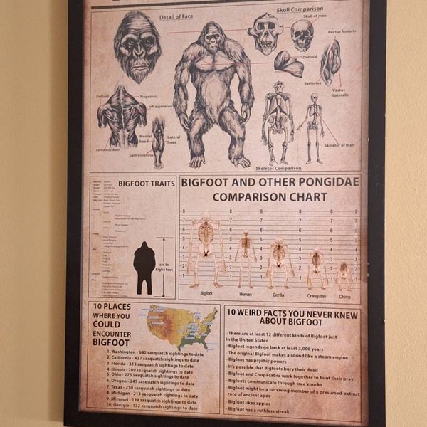 Bigfoot Knowledge Poster, Knowledge Poster, Bigfoot Lover Poster Gift ...