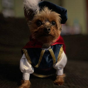 Dog Cleopatra Halloween Costume, Cleopatra Dog Costume, Puppy Cleopatra ...