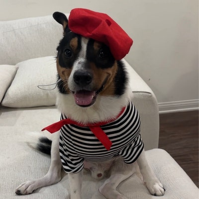 French Look Outfit Set Pet Beret Hat, Red Scarf, Black White Striped T ...