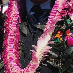 Hawaiian Lei Butterfly Lei Orchid Lei, Deluxe Lei, Mother Lei, Fresh ...