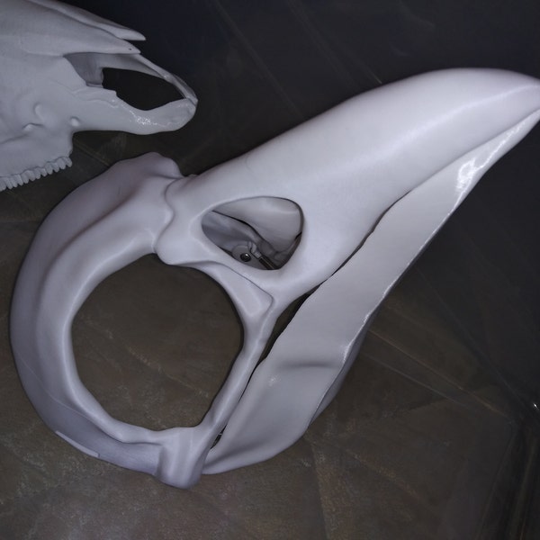 Raven Bird Skull Corvus Bone Skull Mask - Movable Moving Hinge Jaw- 3D ...