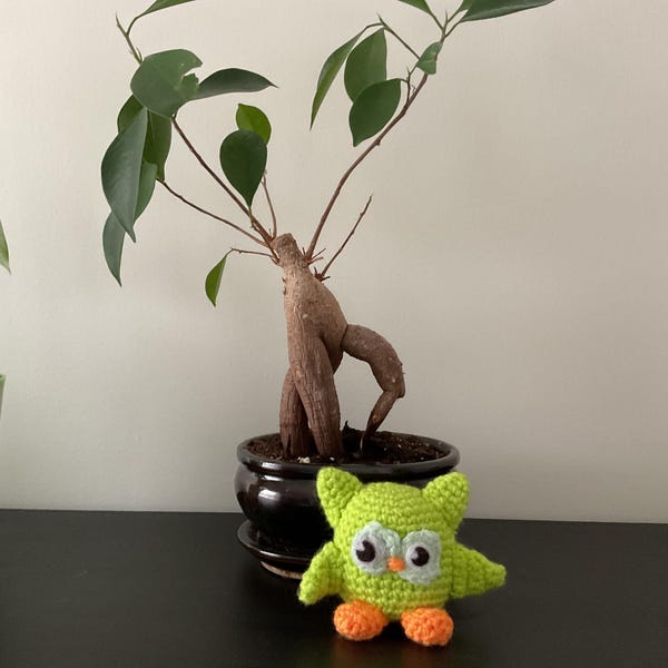 Duolingo Owl Crochet Pattern - Etsy