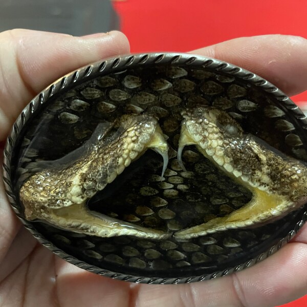 Western Belt Buckle With Two Western Diamondback Half Heads - Etsy