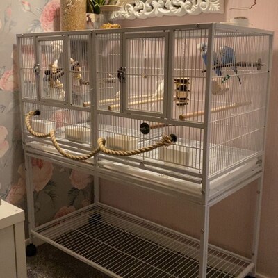 Various Sizes Natural Wood Perch Ledge Platform Shelf Walkway - Etsy