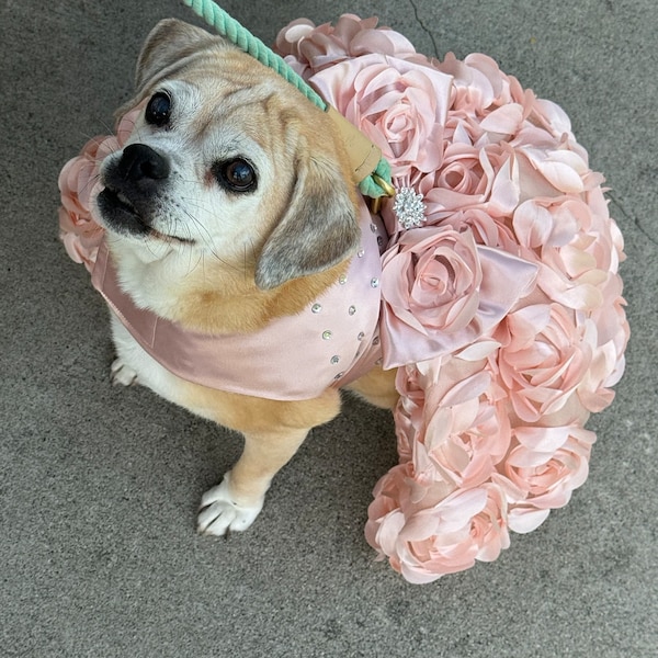 Dog Dress, Supergirl Dog Dress, Supergirl Dog Harness Dress, Supergirl ...