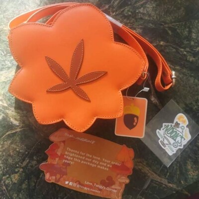 Pre-order, Maple Leaf Pochette Bag Shoulder Bag Animal Crossing New Horizons ACNH Nintendo ...