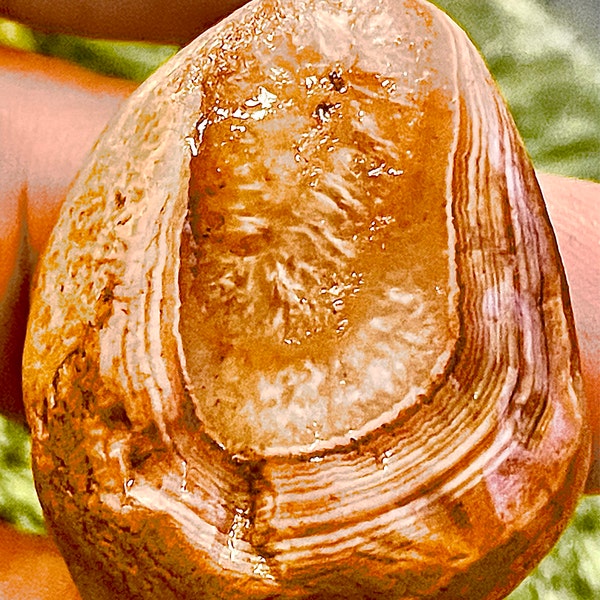 10lbs Assorted Bulk PNW River Rocks - Gardening, Landscaping, Decor - Etsy