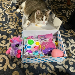 Valentines Day Mystery Box Gift Box for Kids Kids Mystery Box Surprise ...