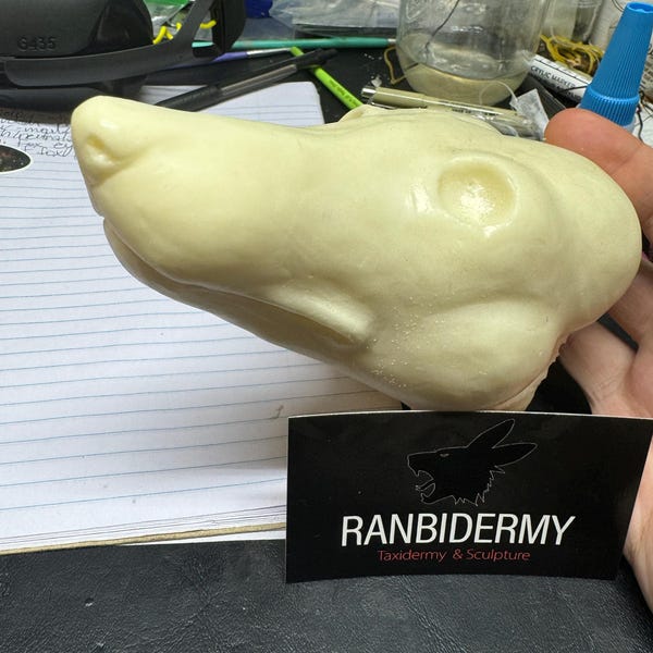 Red Fox + Ranch Fox Change-out Head Form for Softmounts or Traditional ...