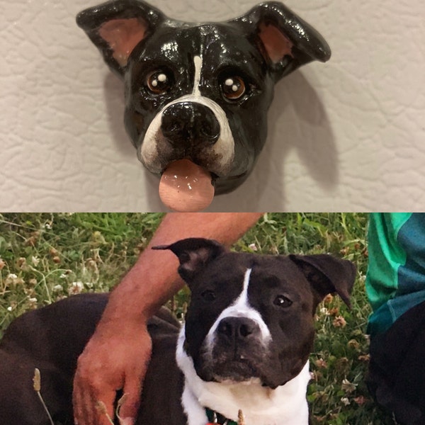 The Spay Neuter Coloring Book, Spay Oklahoma, Animal Rescue, Dog Cat ...