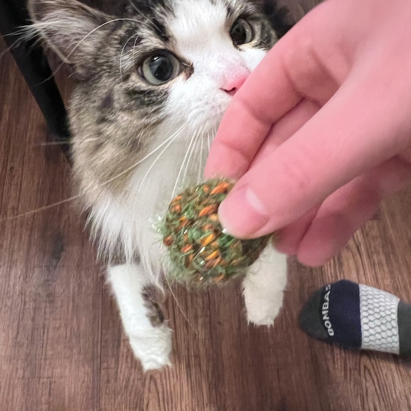 Catnip "nug" Cat Toys - Etsy