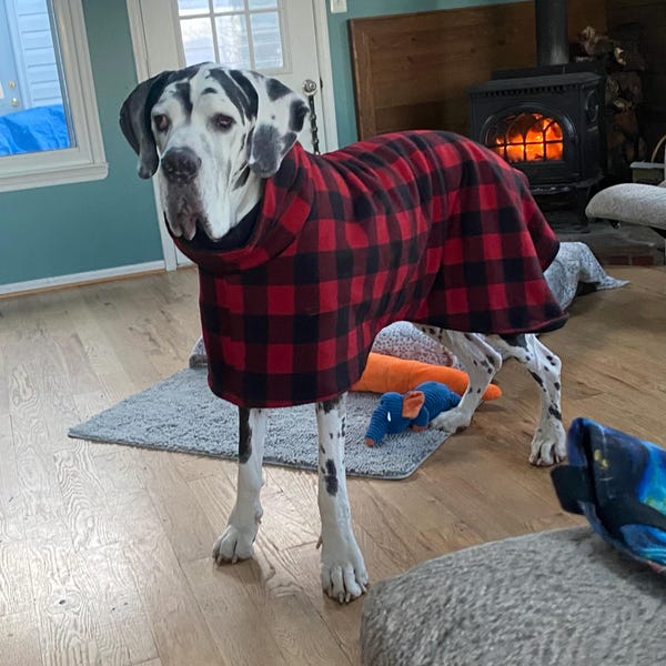 Great Dane Coats for Dogs, Extra Large Dog Pjs, Bull Mastiff Dog ...