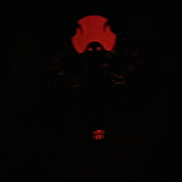 Mothman (glow in the Dark) Cryptid Enamel Pin - Etsy