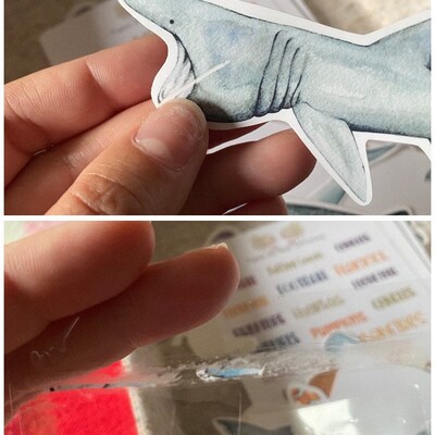 Shark Teeth Poster/art Print - Etsy