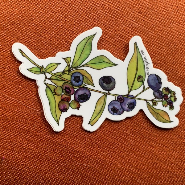 Blueberry Fruit Berry Vinyl Sticker, Cute Watercolor Botanical ...