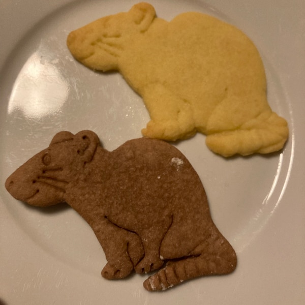 Rats Rat Rodent Cookie Cutter Pastry Fondant Dough Biscuit - Etsy