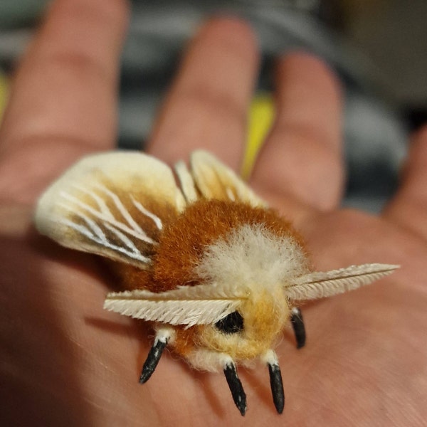 Polyphemus Moth, Needle Felted, Moth Figurine, Decoration, Handmade ...