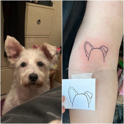 Digital Custom Pet Ear Drawing Great for Prints or Tattoos Custom Dog ...