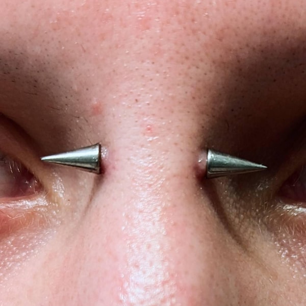 NEW ‣14g Bar 6mm ‣ Implant Grade Titanium - Internally Threaded ...