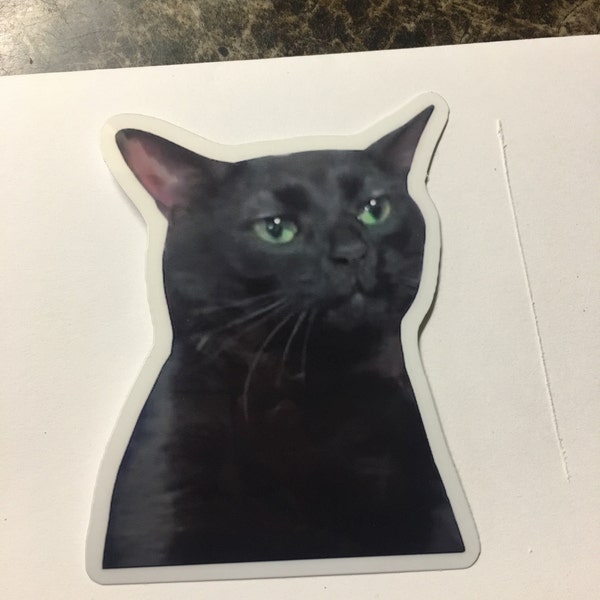 Dissociating Sticker, Zoning Out Black Cat Meme, Dissociative Sticker ...