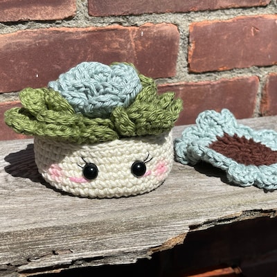 Rosette Succulent Coaster Set - Etsy