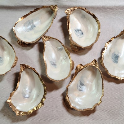 12 Large FLAT SIDE 3 1/4 up to 4 Oyster Shells. Drilled Available Flat ...