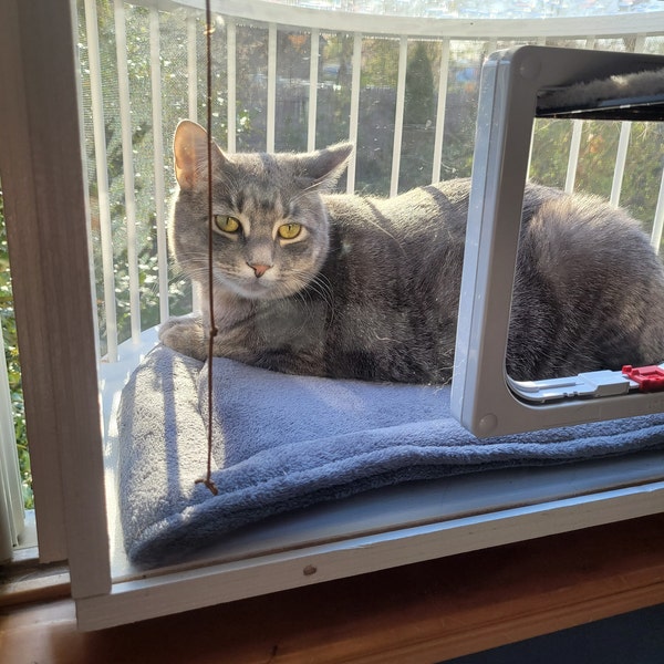 Cat Solarium Sunroom Package: the Ultimate Cat Window Box. This Catio ...