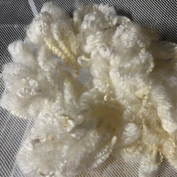 Blue Faced Border Leicester Fleece for Hand Spinning Knitting Crochet ...