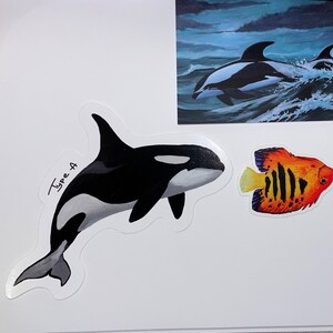 Shark Washi Tape, 10 Metres, 1.5cm, Stationary, Planner - Etsy