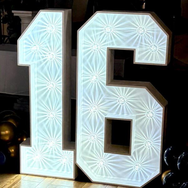 Full Size Adult and Child's Commercial Indoor Outdoor Father Christmas ...