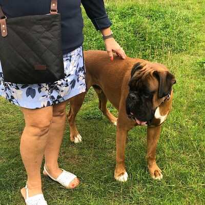 Teal Storage Basket Teal Cube Felt Cube Storage Basket - Etsy