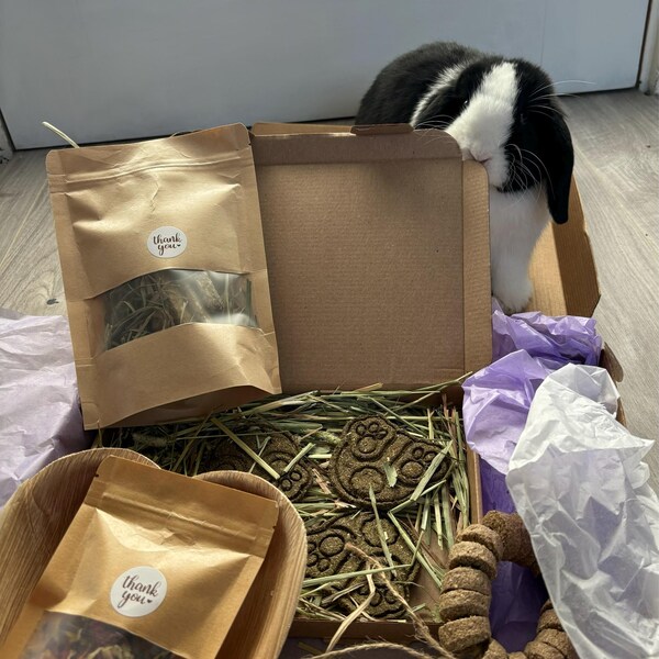 Forage Box Rabbits, Guinea Pigs, Hamsters, Rats - Etsy UK