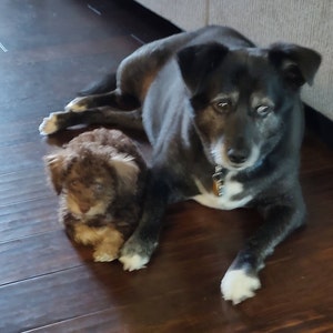 Cool Stag Couple Portrait, Happy Deer Marriage Art, Printable Wedding ...