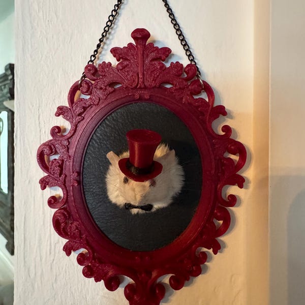 Pastel Pink Fancy Mouse Taxidermy Head Mount - Etsy