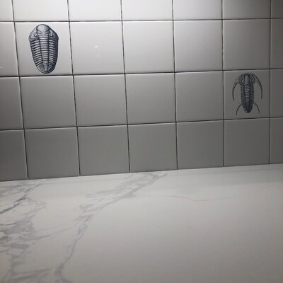 Engraved Sea Turtles on Ceramic Tile Coasters - Etsy