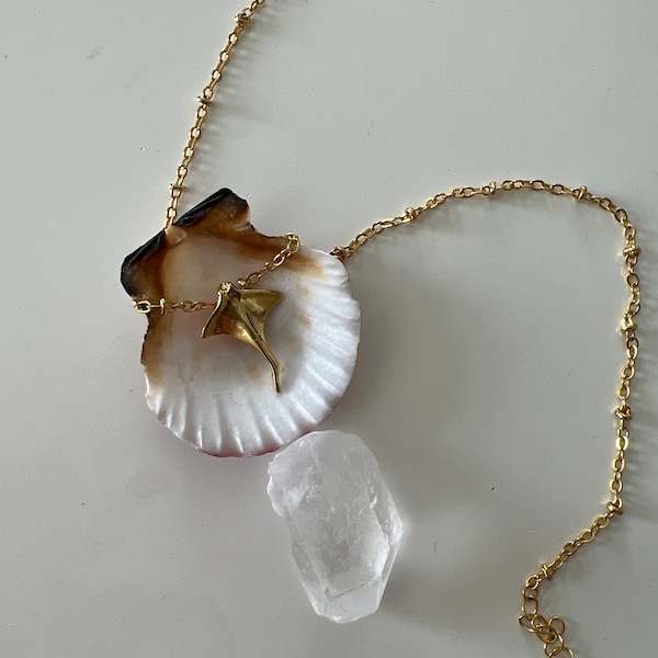 Nassau Mermaid - Hawaiian Seashells, Seashell Choker Necklace, Surfer ...