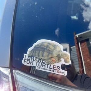 Honk for Peanuts Bumper Sticker - Etsy