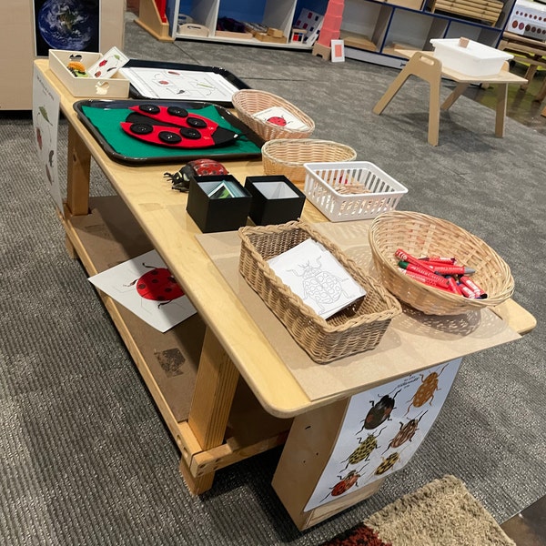 EDITABLE Hopscotch: Sensory Path With WORDS & NUMBERS, Printable Floor ...