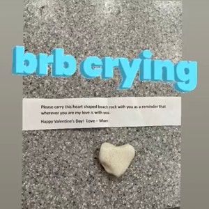 Heart Shaped Beach Rocks Lake Erie Set of 8 - Etsy