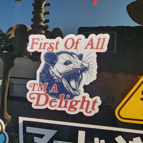 Everything is Going Spectacularly Awful Raccoon Sticker, Funny Trash ...