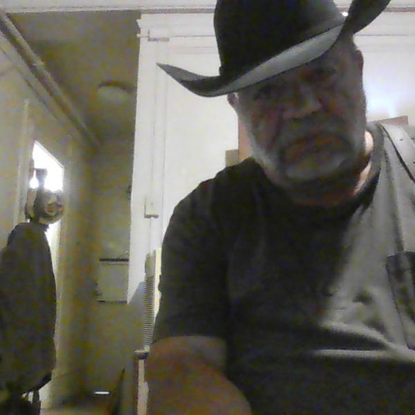 Ficus Thunbergii (oak Leaf Creeping Fig Aka Ficus Pumila Var ...