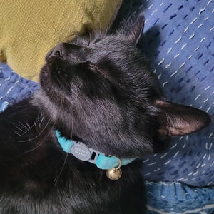 Breakaway Greensageforest Velvet Cat Collar Bowtie Leash Set ...