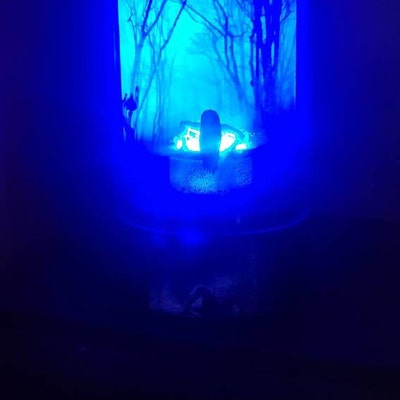 Glass Dome LED Cabin in the Wood Diorama Inspired Form - Etsy