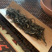 2018 Autumn naka Gushu 100g Cake Old Tree Puerh - Etsy