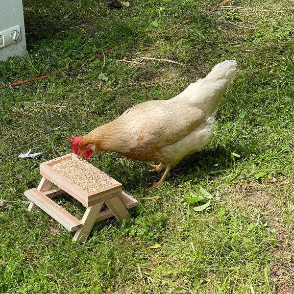 Cat Table, Elevated Feeder, Kitten Table, Picnic Table, Pet Feeder, Pet ...